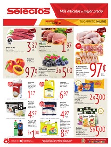 Shopper de Selectos - Shop.pr