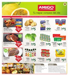 Shopper de Amigo - Shop.pr