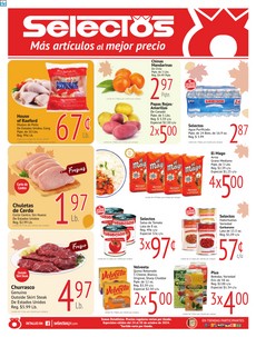 Shopper de Selectos - Shop.pr